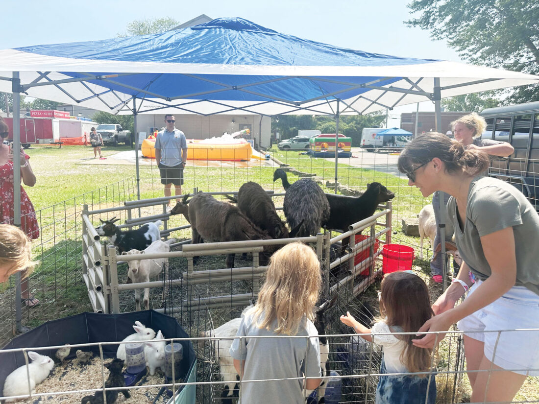 Harmar Days: Marietta hosts festival to help save historic Harmar ...